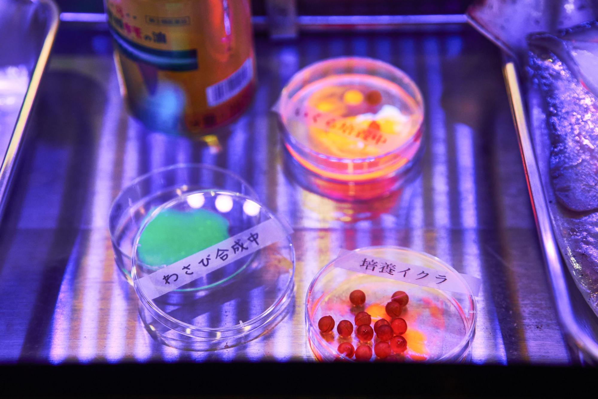 市原えつこ 展覧会「ディストピア・ランド」 - シビック・クリエイティブ・ベース東京 [CCBT]